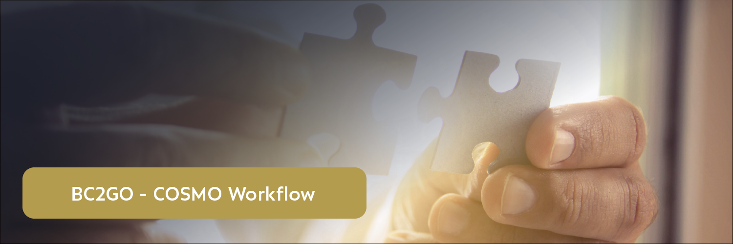 COSMO MARKETPLACE - BC2GO-COSMO Workflow